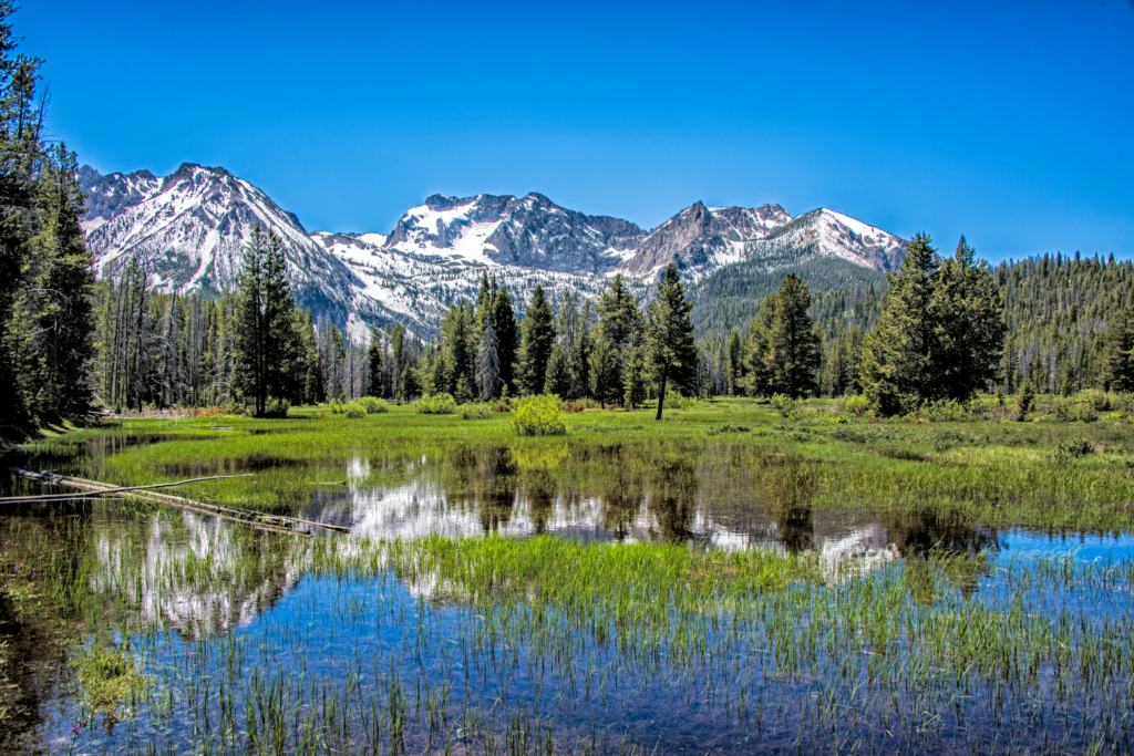 Why The Sawtooth Society Exists - Sawtooth Society