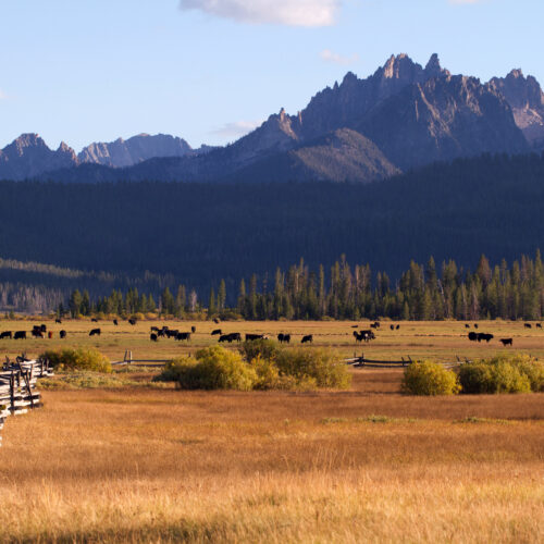 Sawtooth Mountains Archives - Sawtooth Society